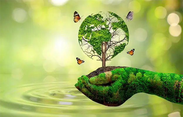 Materiales de bajo impacto ambiental: claves y beneficios | Knauf